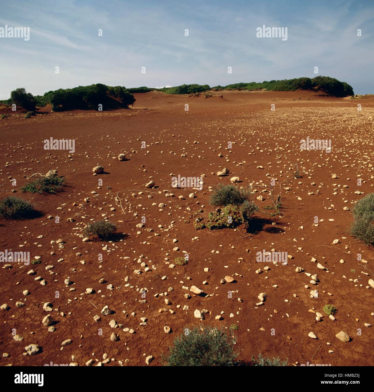 Red soil and bushes, Lefkada island, Ionian islands, Greece Stock Photo ...