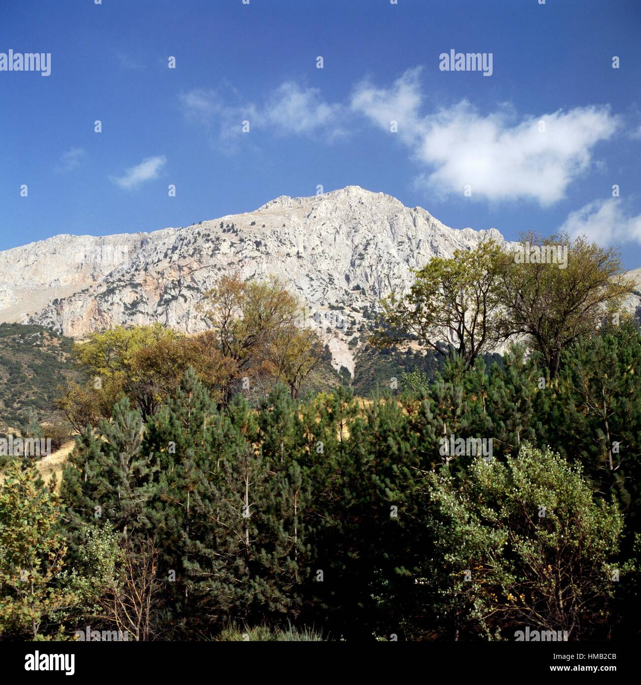 Landscape with vegetation and Mount Parnassus in the background, Delphi ...