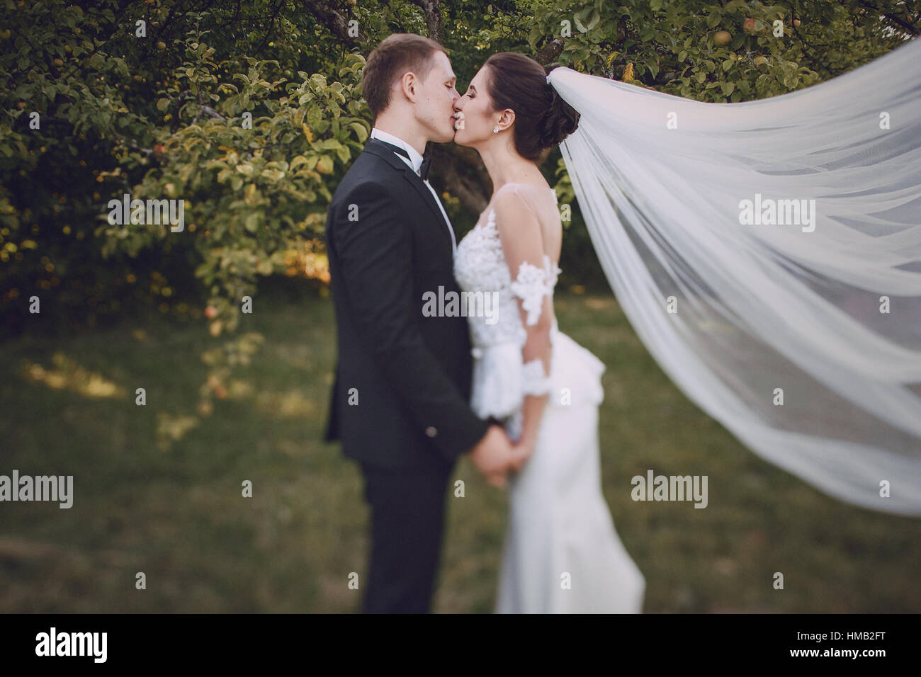 bride and groom Stock Photo - Alamy
