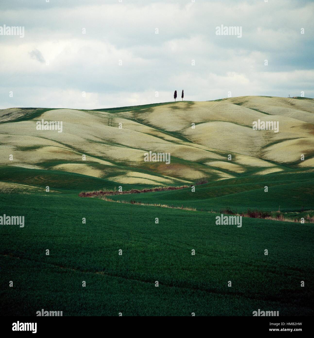 Hilly landscape near San Quirico d'Orcia, Tuscany, Italy Stock Photo ...