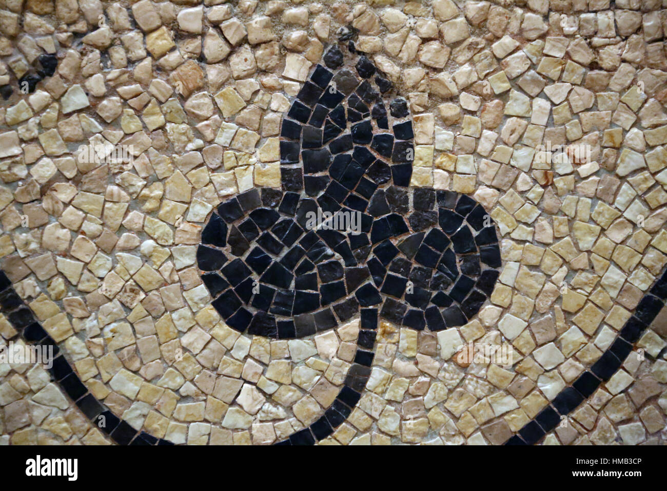 Roman mosaic. The Labours of Hercules. Detail. Clover. 3th century ...