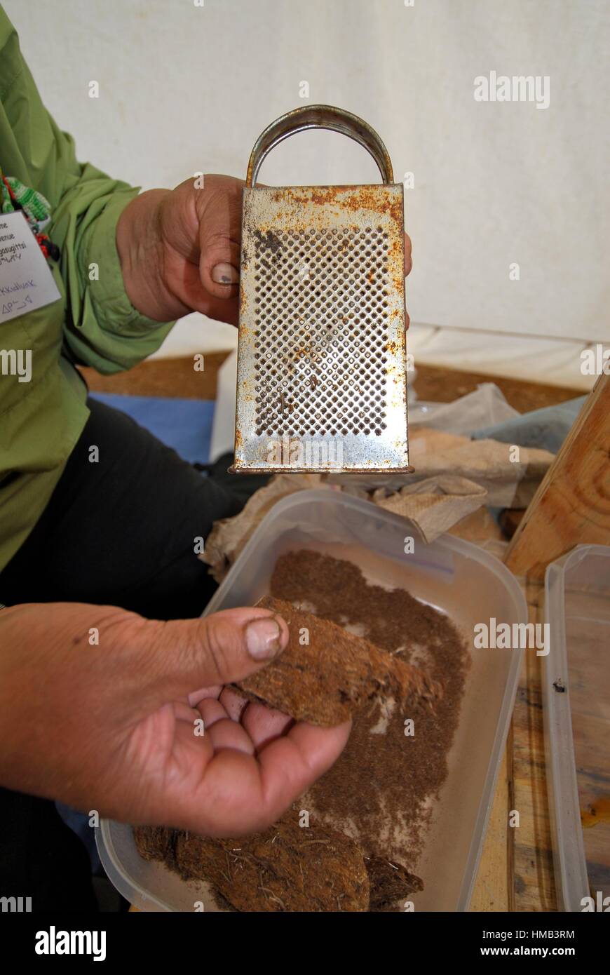 Inuit seal tent hi-res stock photography and images - Alamy