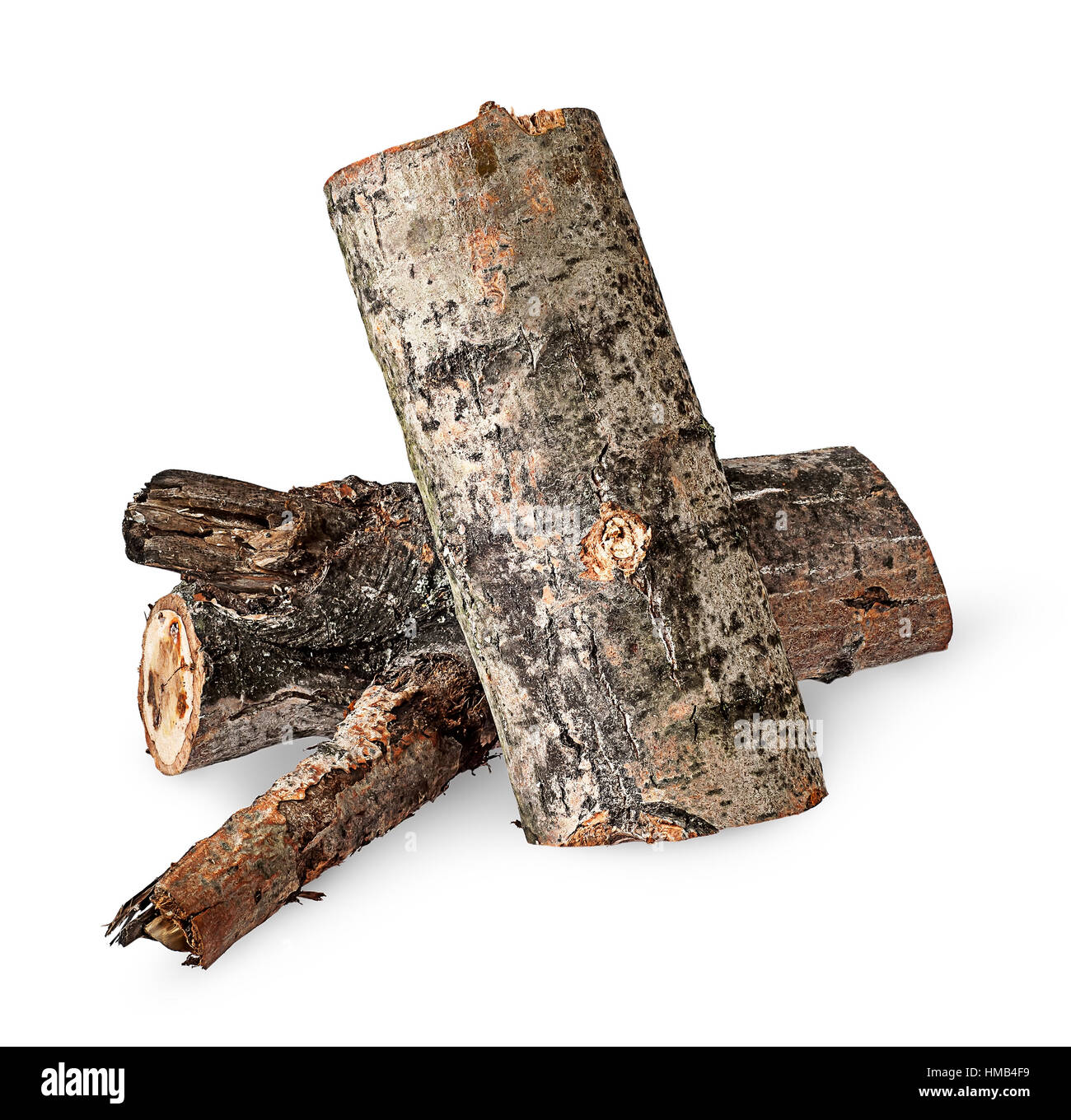 Two poplar logs isolated on white background Stock Photo - Alamy