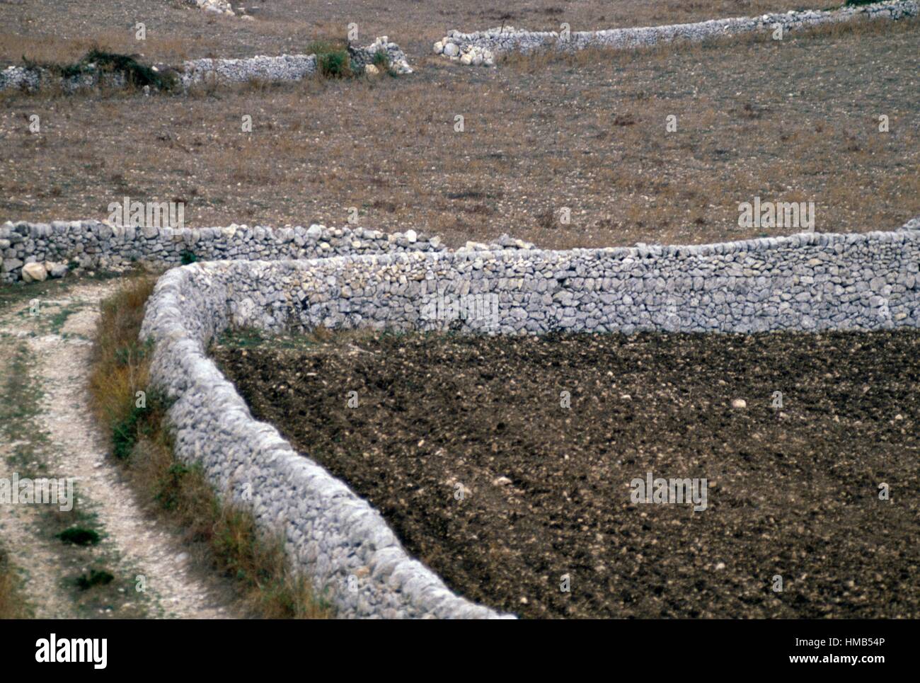 Stone wall and ploughed field near a Masseria (fortified farm house) in ...