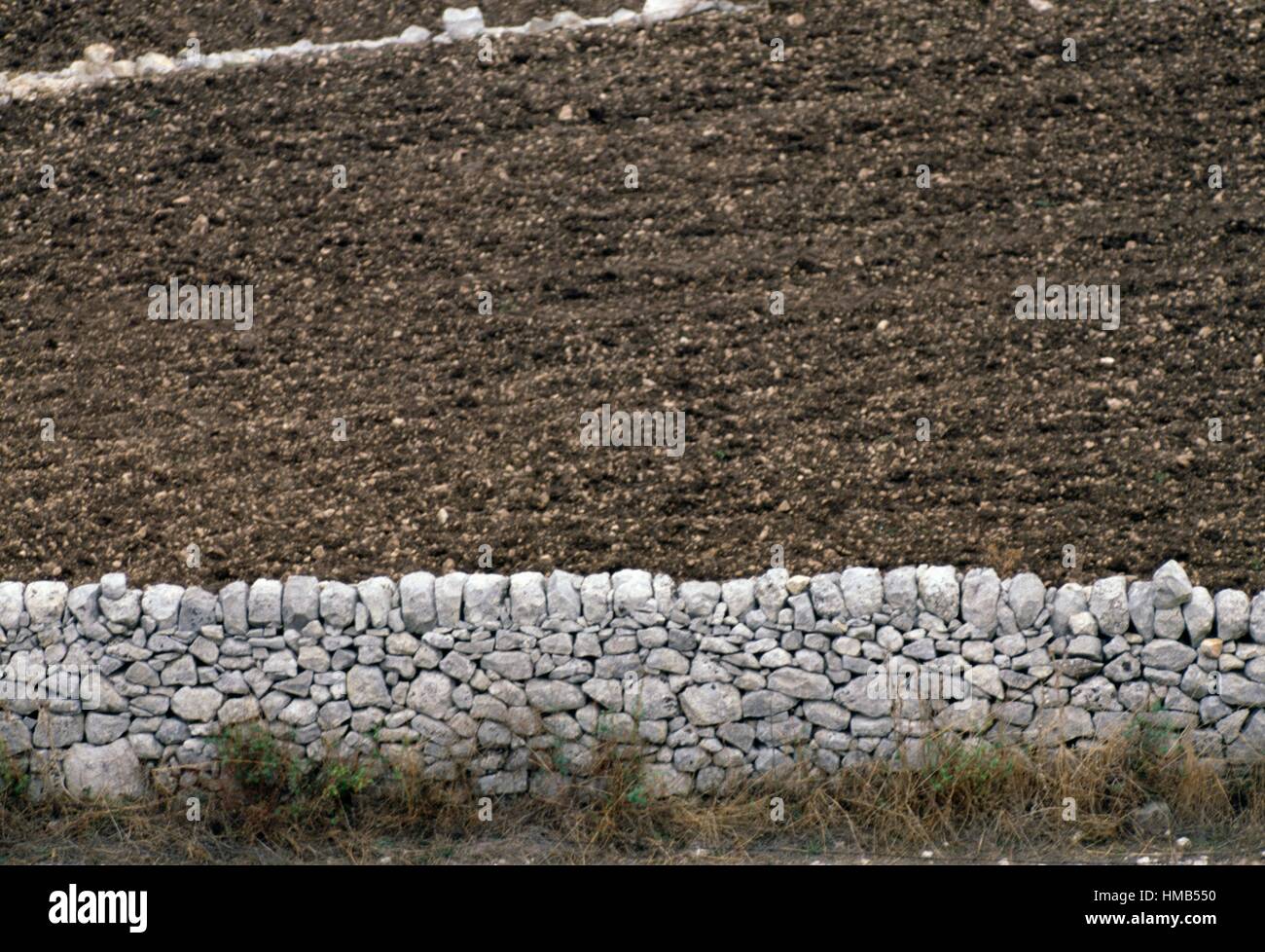 Stone wall and ploughed field near a Masseria (fortified farm house) in ...