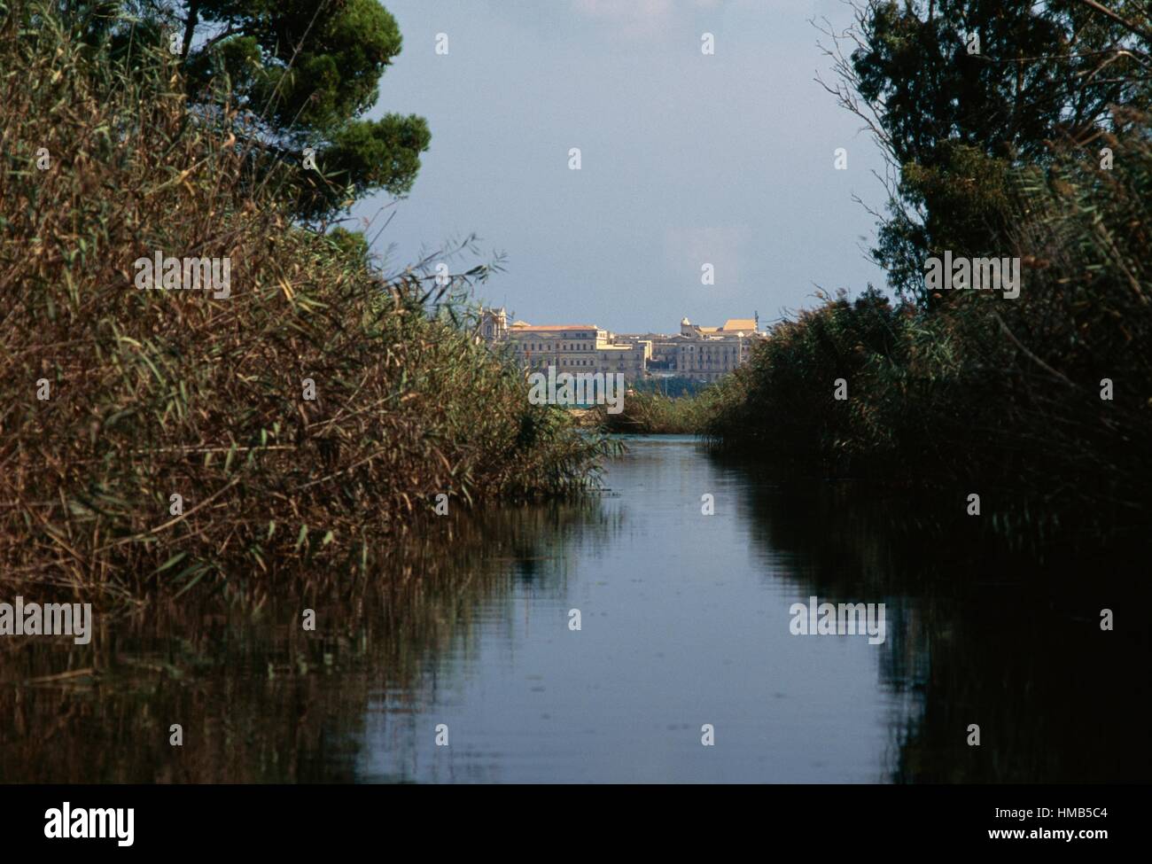 A section of the River Ciane in Syracuse, River Ciane and Siracusa Salt ...
