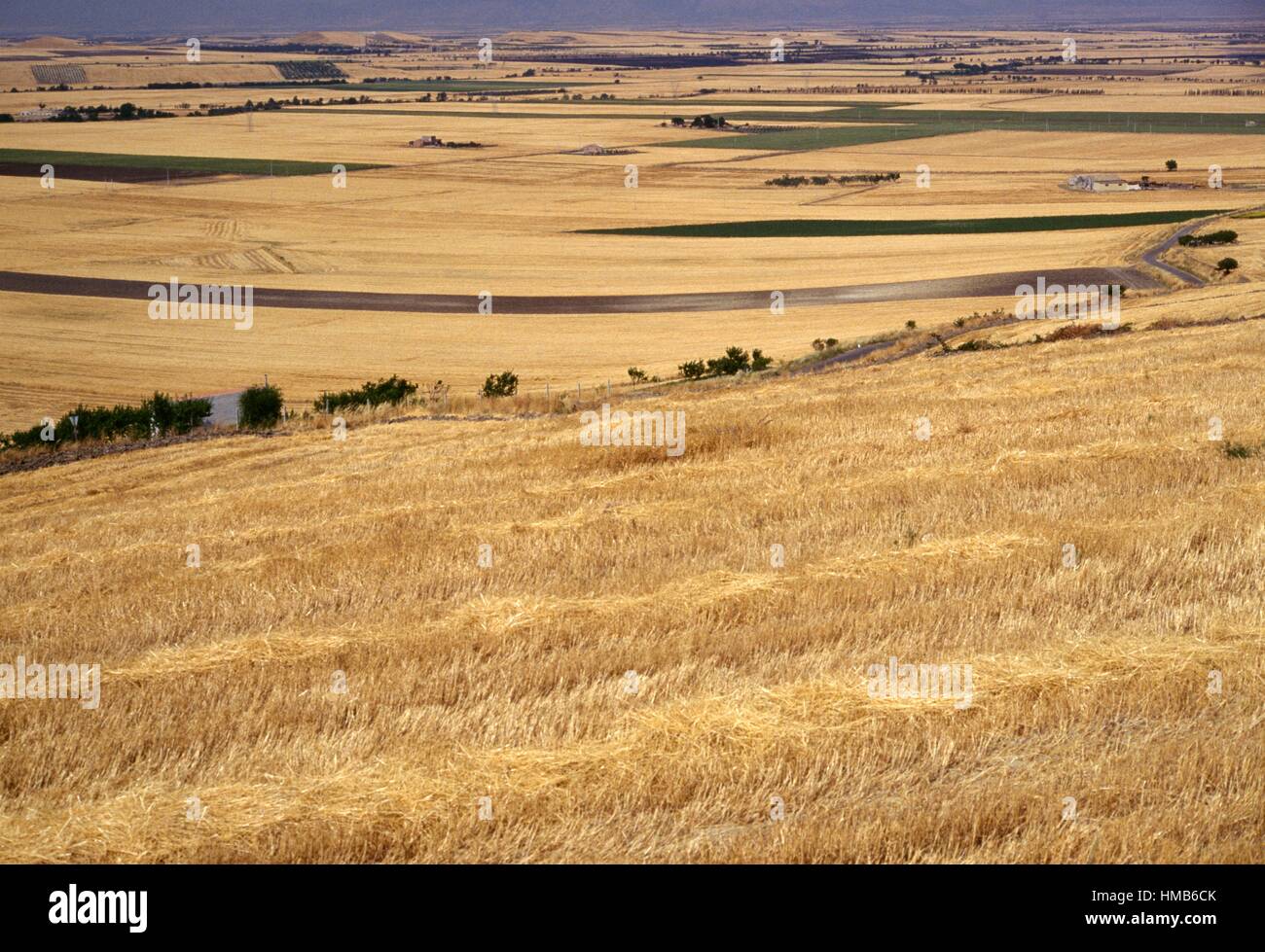 Landscape with fields on the Tavoliere delle Puglie plain, Apulia ...