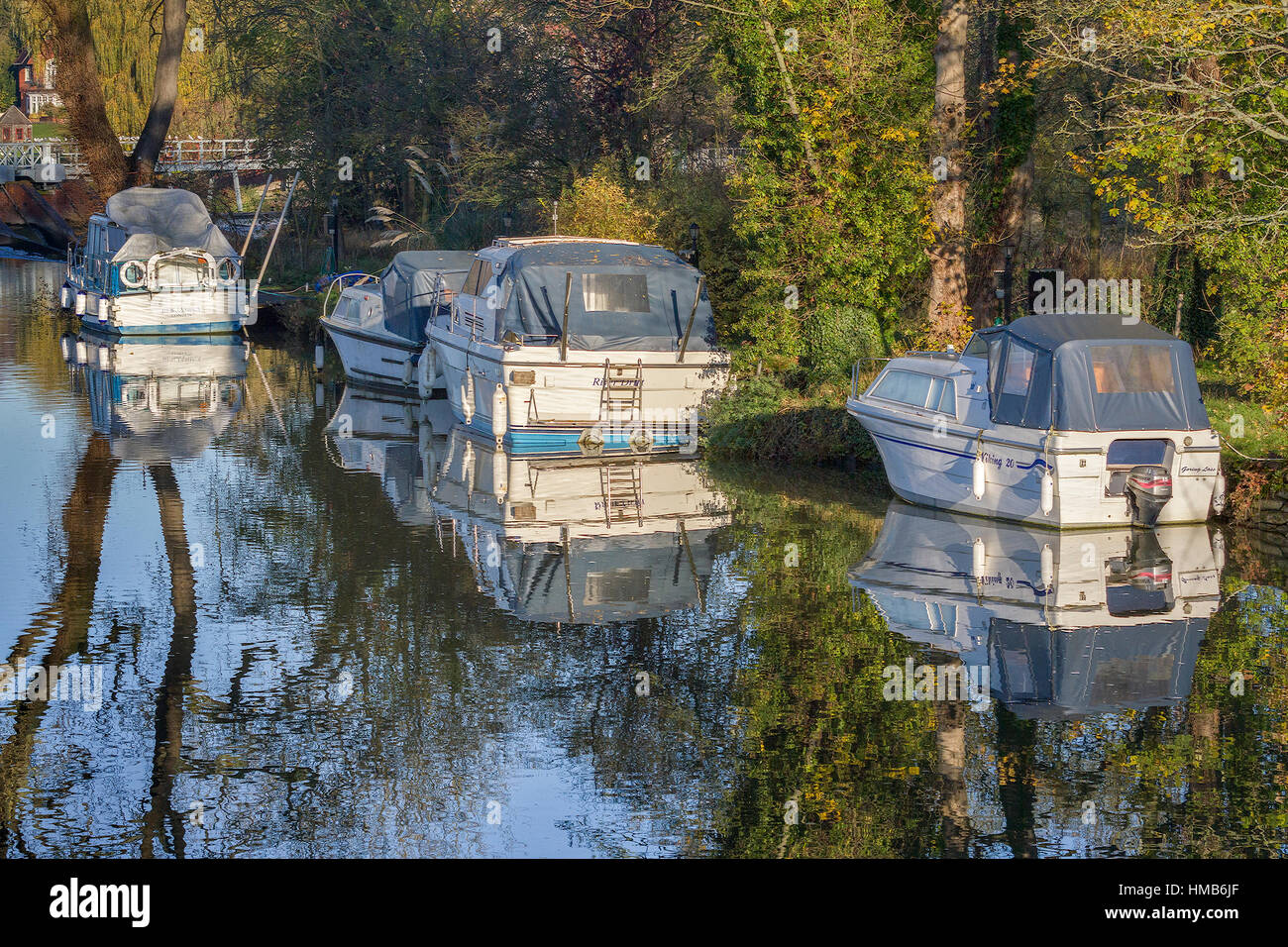 River Thames Backwater Goring On Thames Oxfordshire UK Stock Photo - Alamy