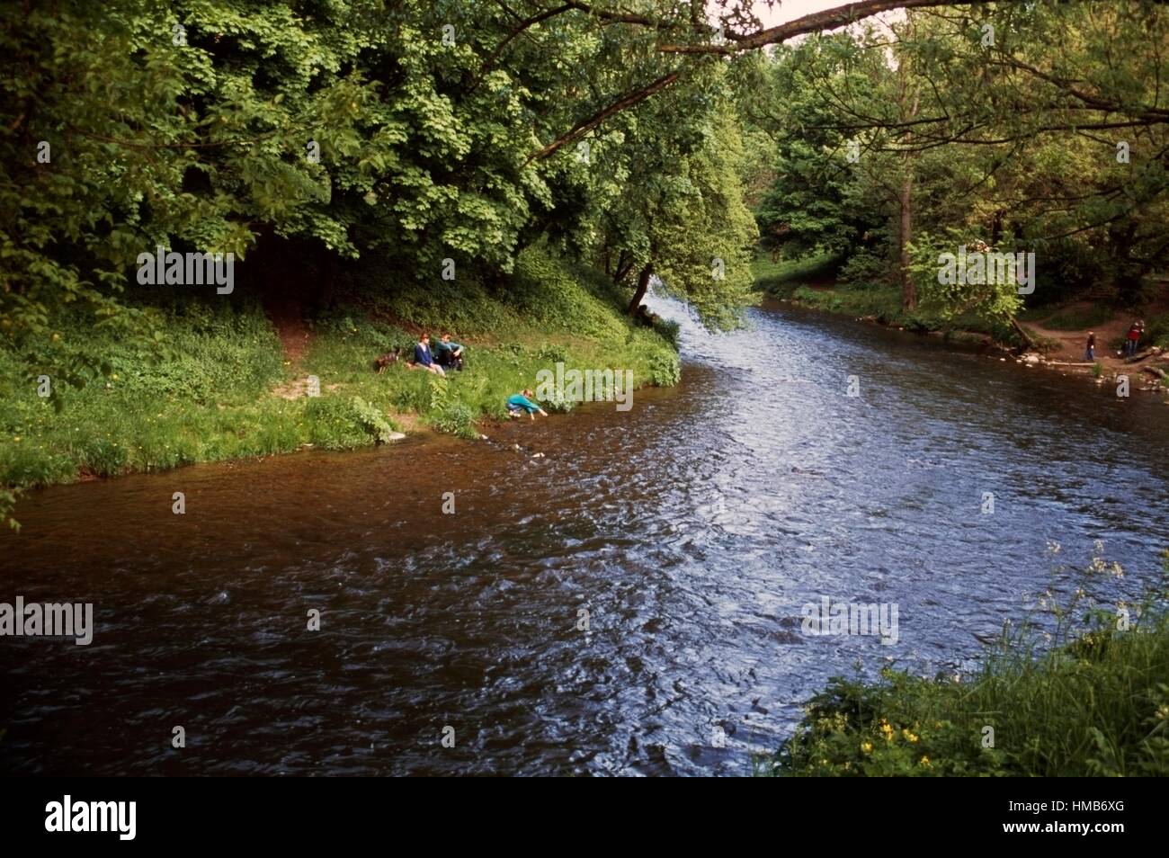 The Vilnia river flowing between trees, near Vilnius, Lithuania Stock ...