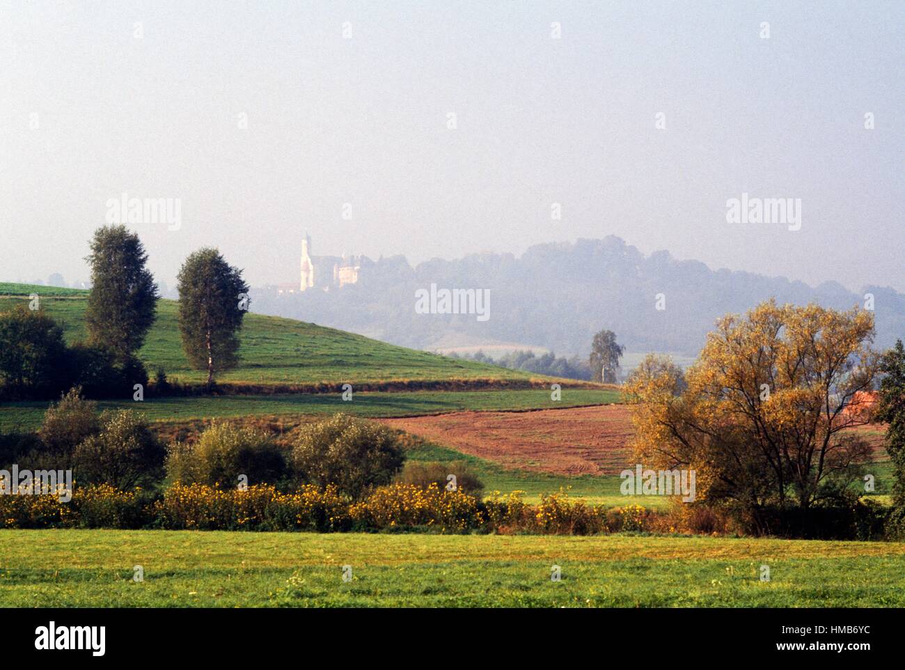 Agricultural landscape with trees near the Rhine river, Germany Stock ...