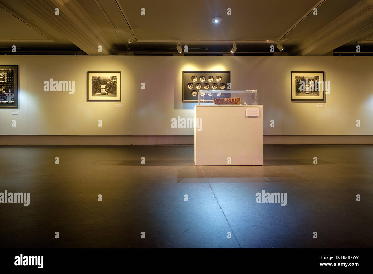 Manchester museum natural history hi-res stock photography and images ...