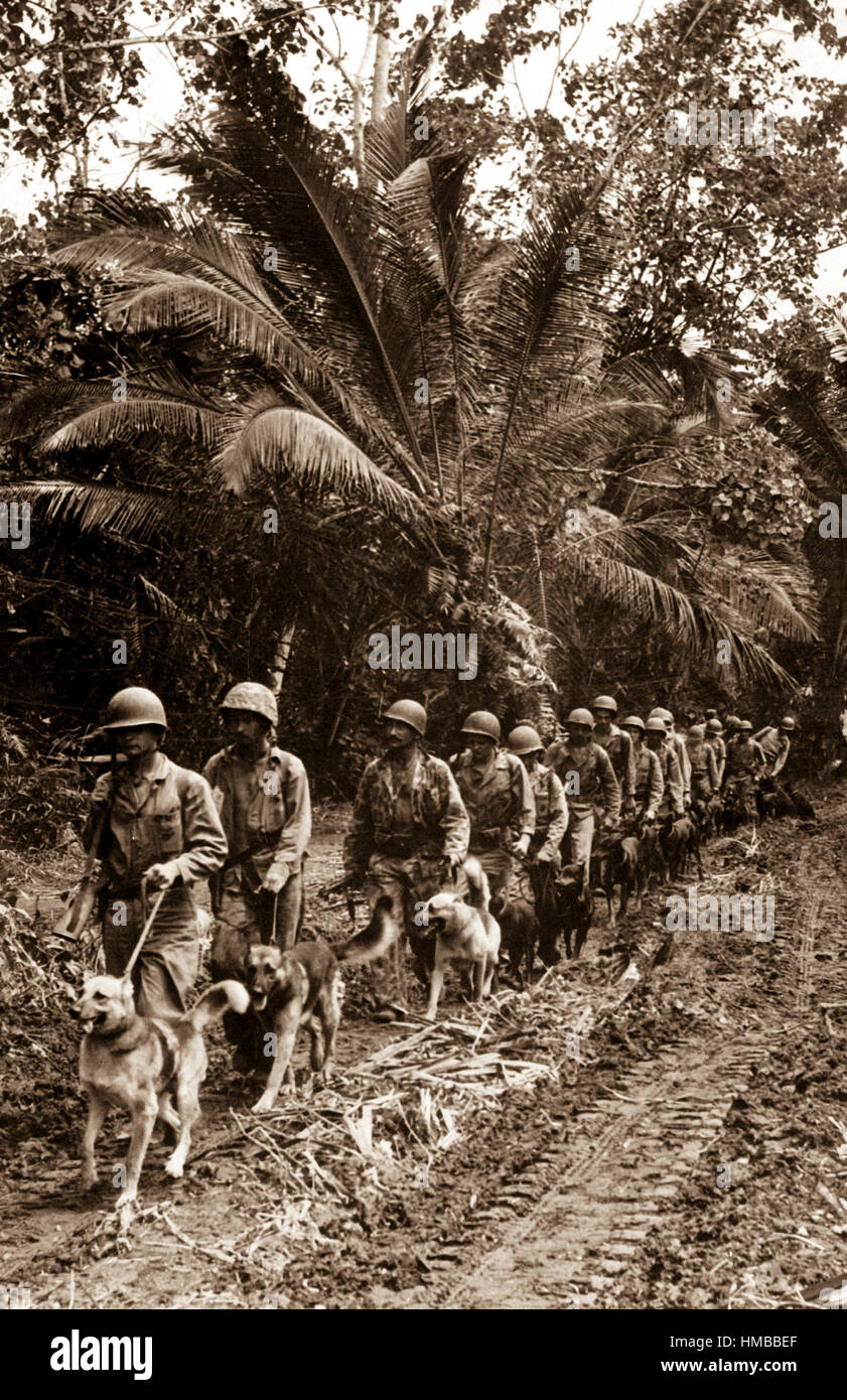 Running soldier world war two hi-res stock photography and images - Alamy