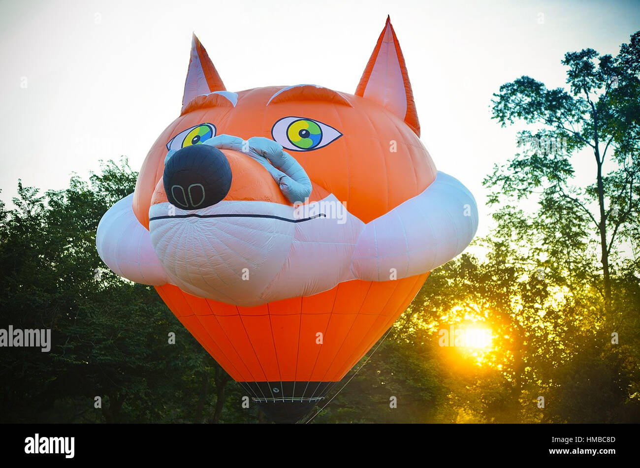 Colorful hot air balloons Stock Photo - Alamy