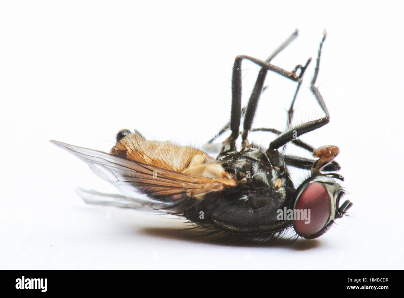 Dead space hi-res stock photography and images - Alamy