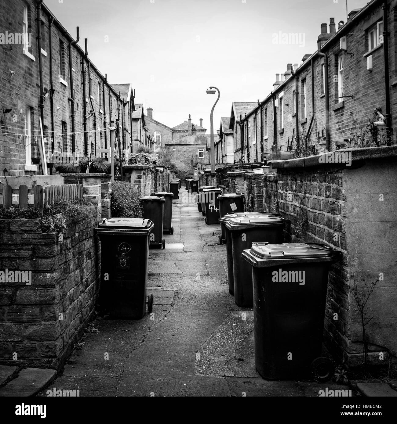 The back alley full of wheelie bins, in the traditional Victorian ...