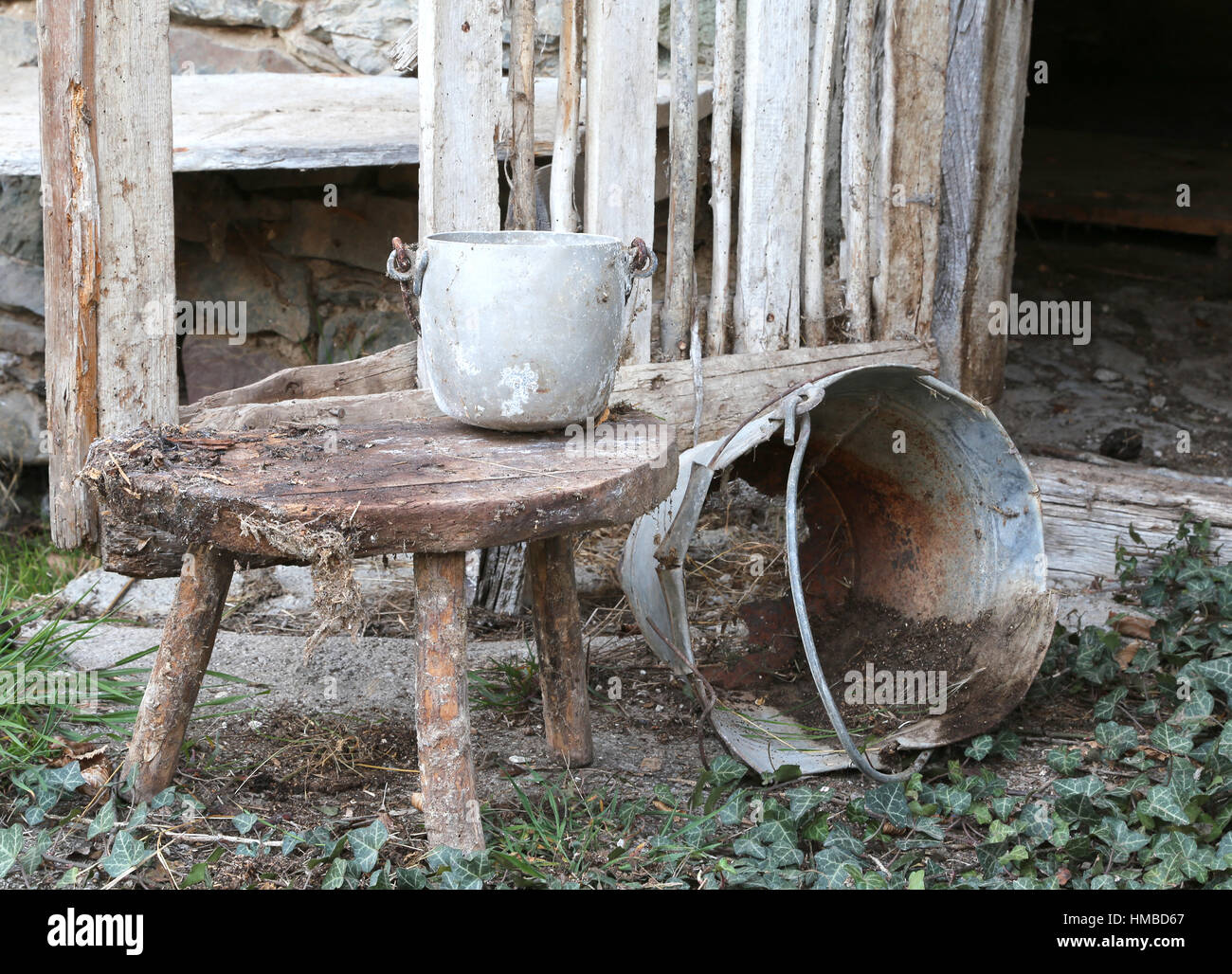 Milking pot hi-res stock photography and images - Alamy