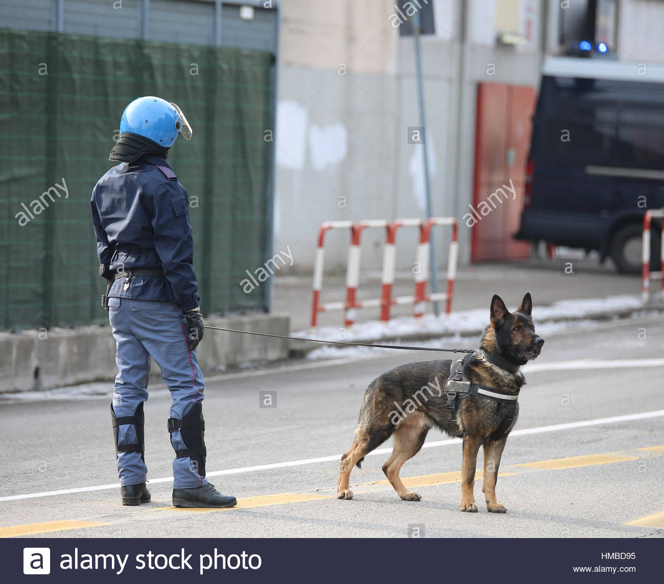 Explosives Dog Stock Photos & Explosives Dog Stock Images - Alamy