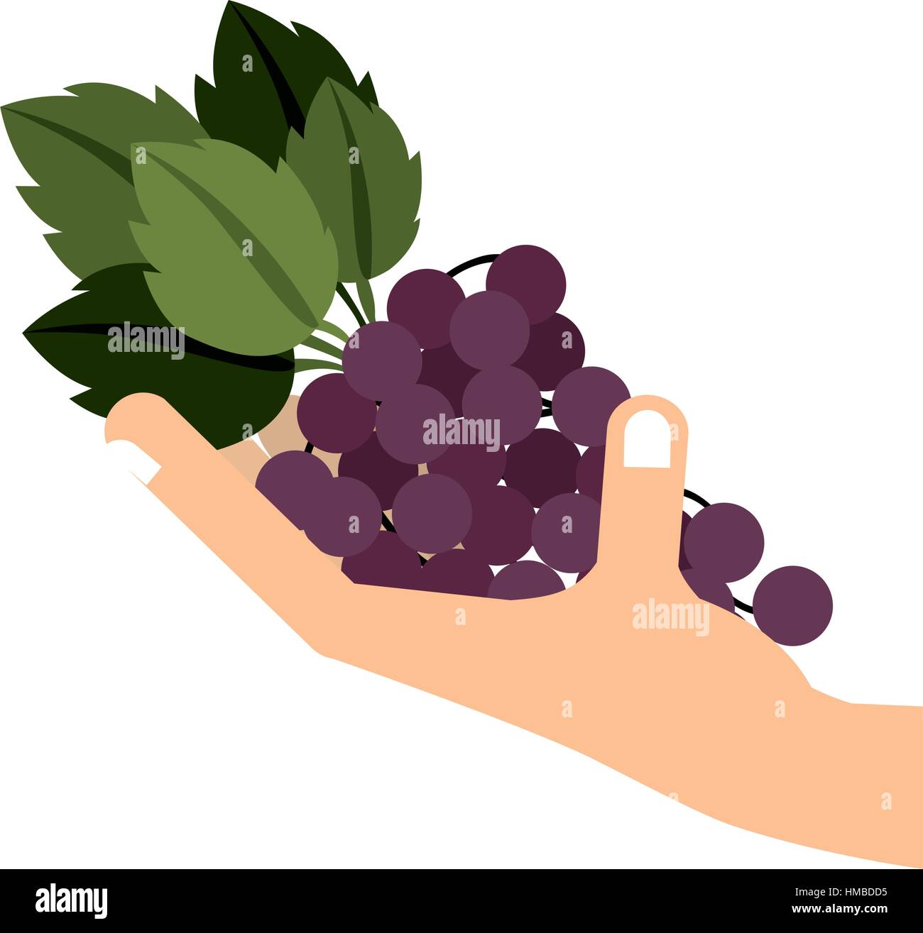 hand with fruit icon vector illustration graphic design Stock Vector ...