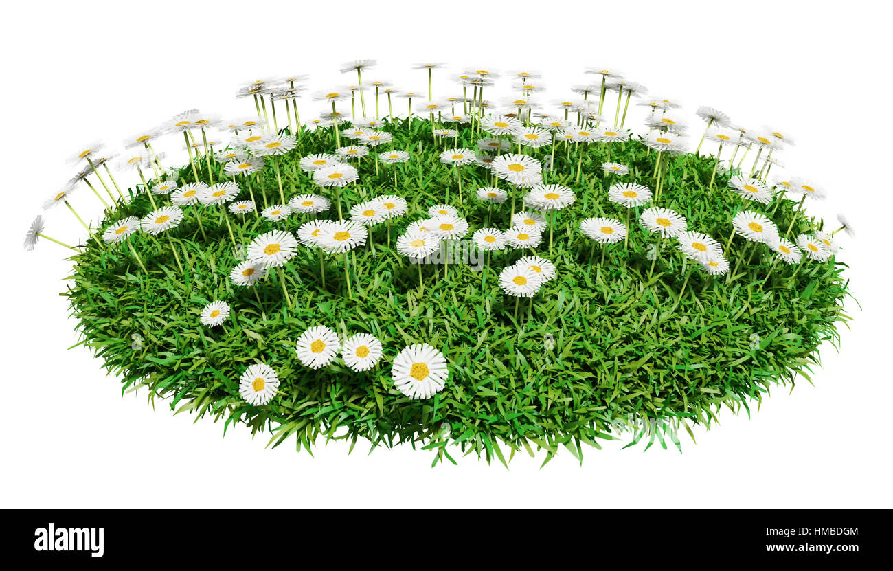Natural grass arena with flowers Stock Photo - Alamy