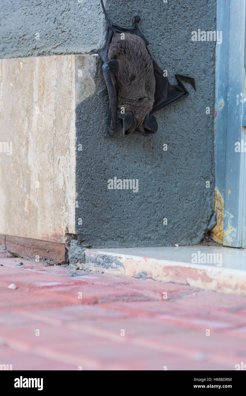 Fixing car at night hi-res stock photography and images - Alamy