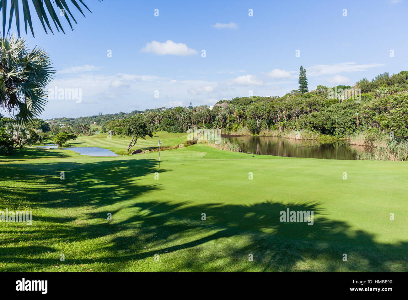 Putting stick hi-res stock photography and images - Alamy