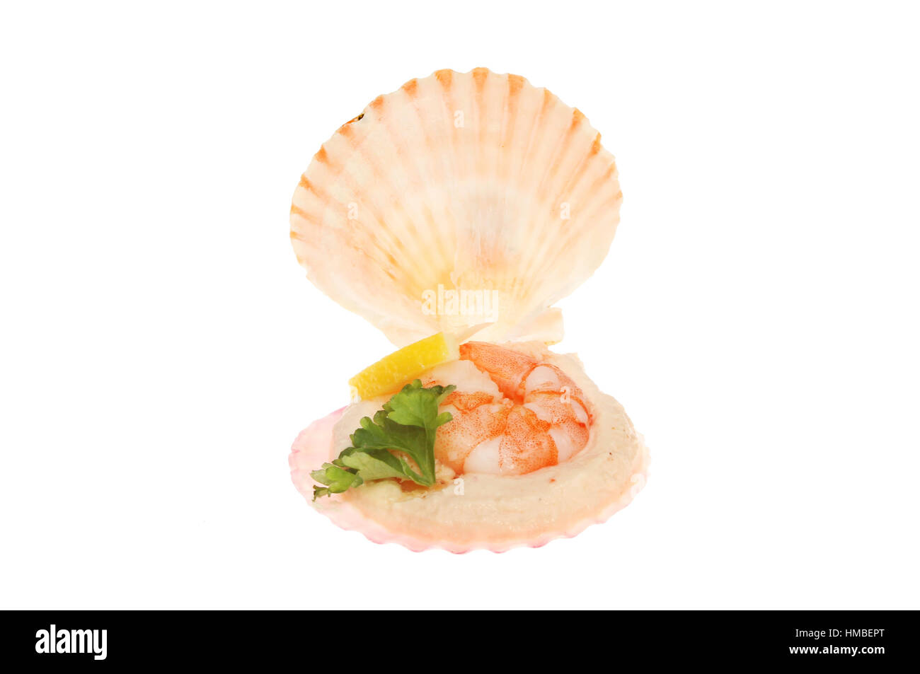 Mini seafood shell, King prawn and prawn mousse appetizer isolated ...
