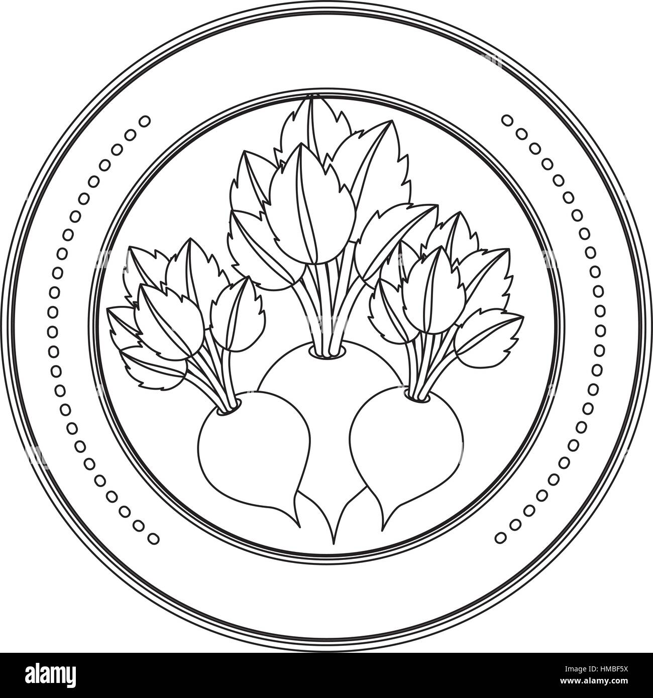 Fresh beets vegetables vector illustration graphic design Stock Vector ...