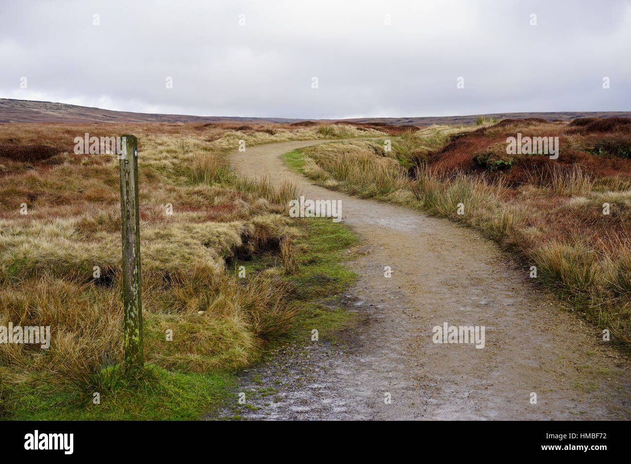 Pennine Way footpath heading over Hope Woodlands Moor Bleaklow, Glossop ...