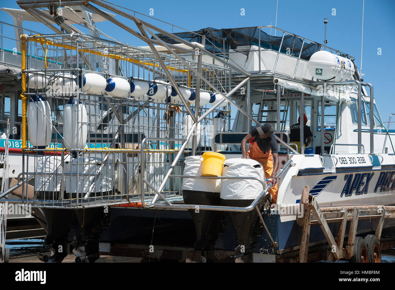 Great White shark dive boats at Kleinbaai Harbour in Gansbaai in the ...
