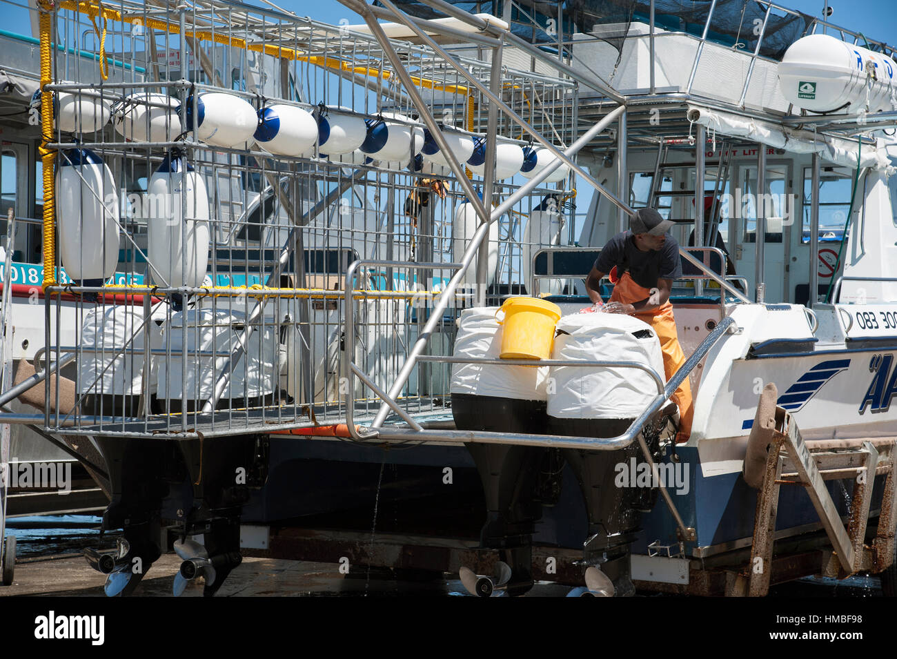Great White shark dive boats at Kleinbaai Harbour in Gansbaai in the ...