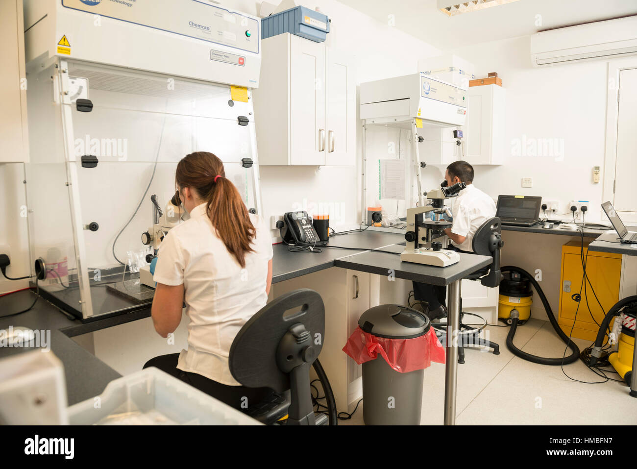 health and safety lab technicians check buildings and property for ...