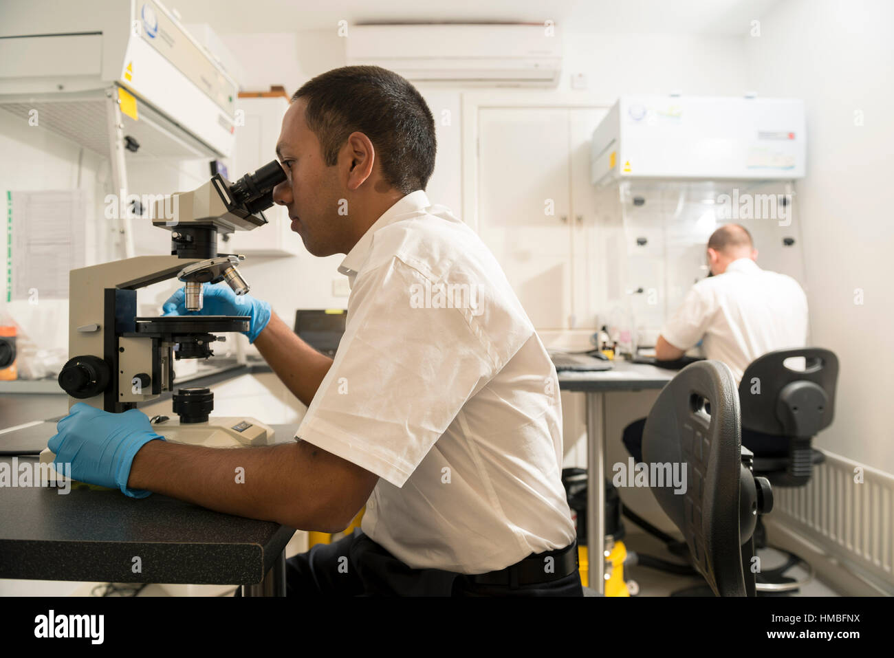 health and safety lab technicians check buildings and property for ...