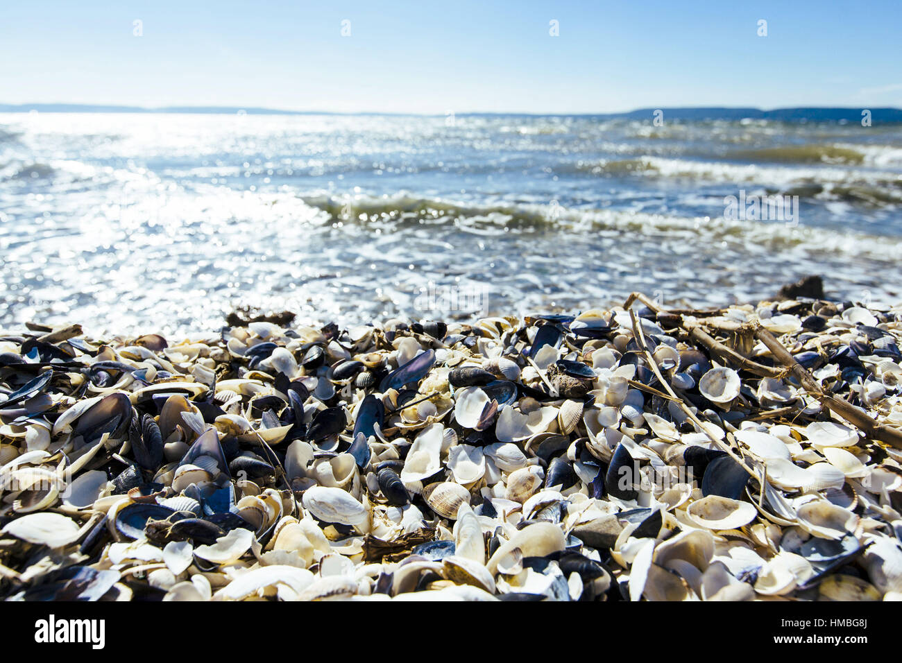 Piles of shells on the banks of the lagoon "étang de Berre" (south ...