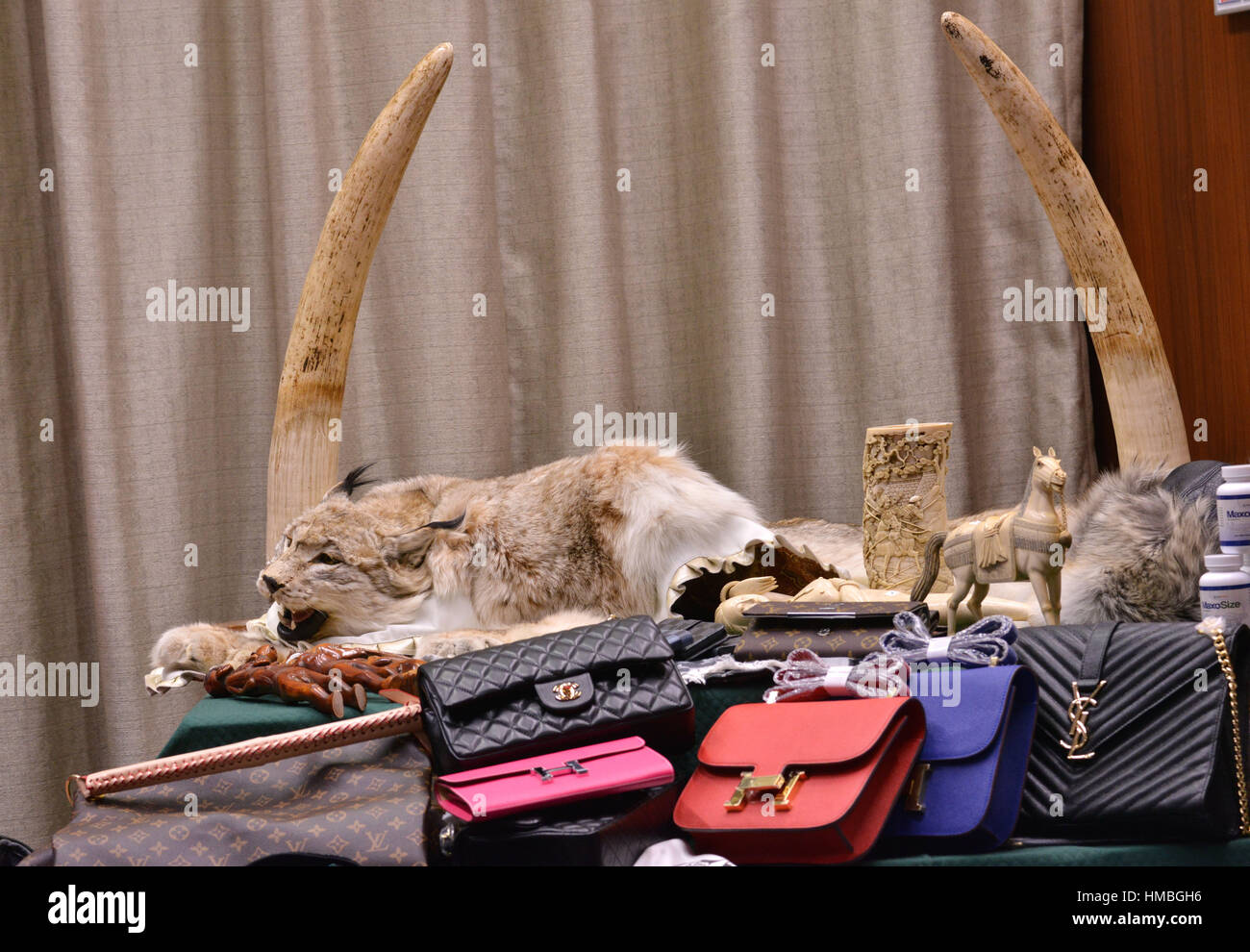 Demonstration by the French Customs Stock Photo - Alamy