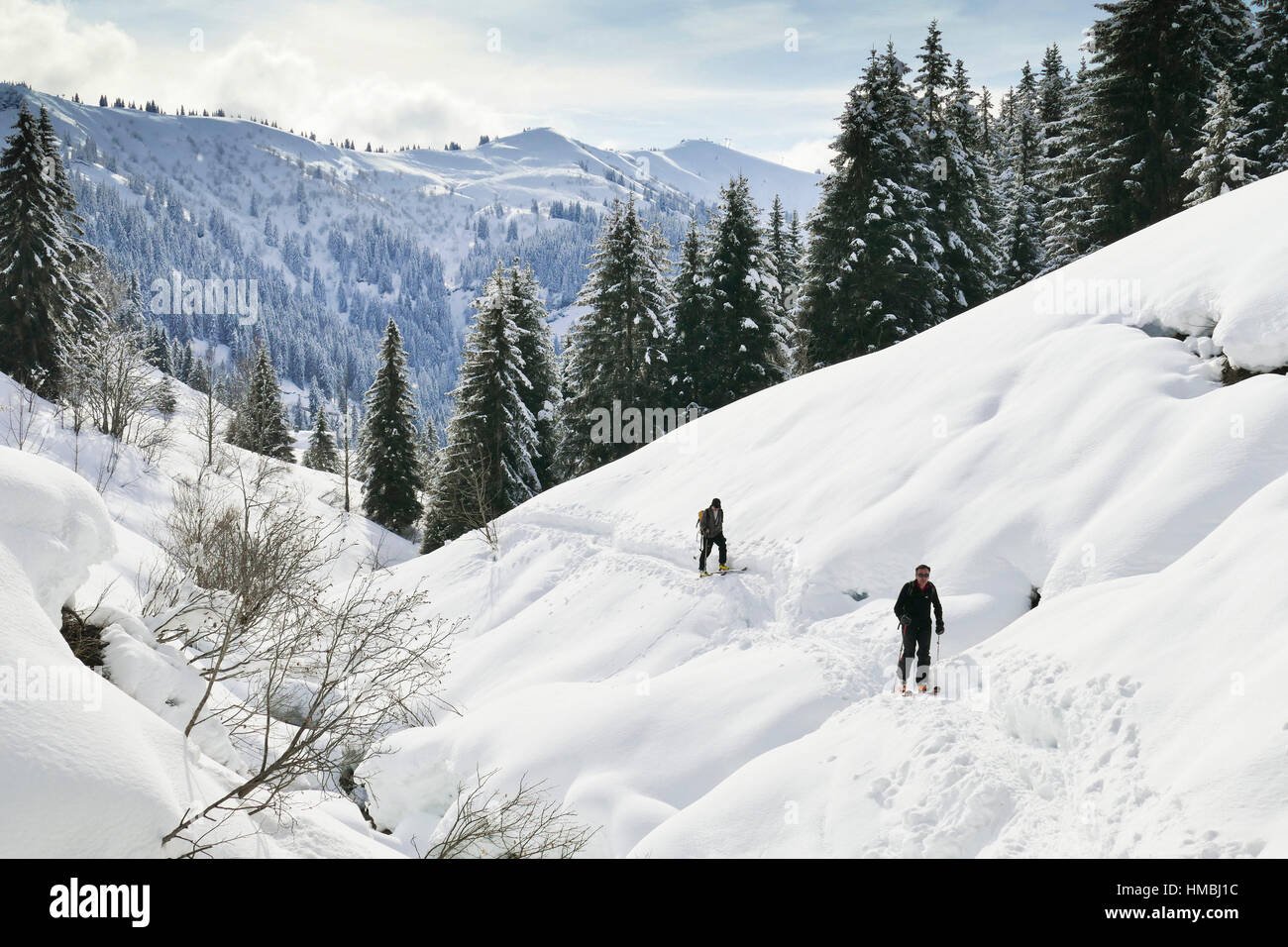 La Giettaz, small valley "Val d'Arly" (Savoy, French Alps): mountainous ...