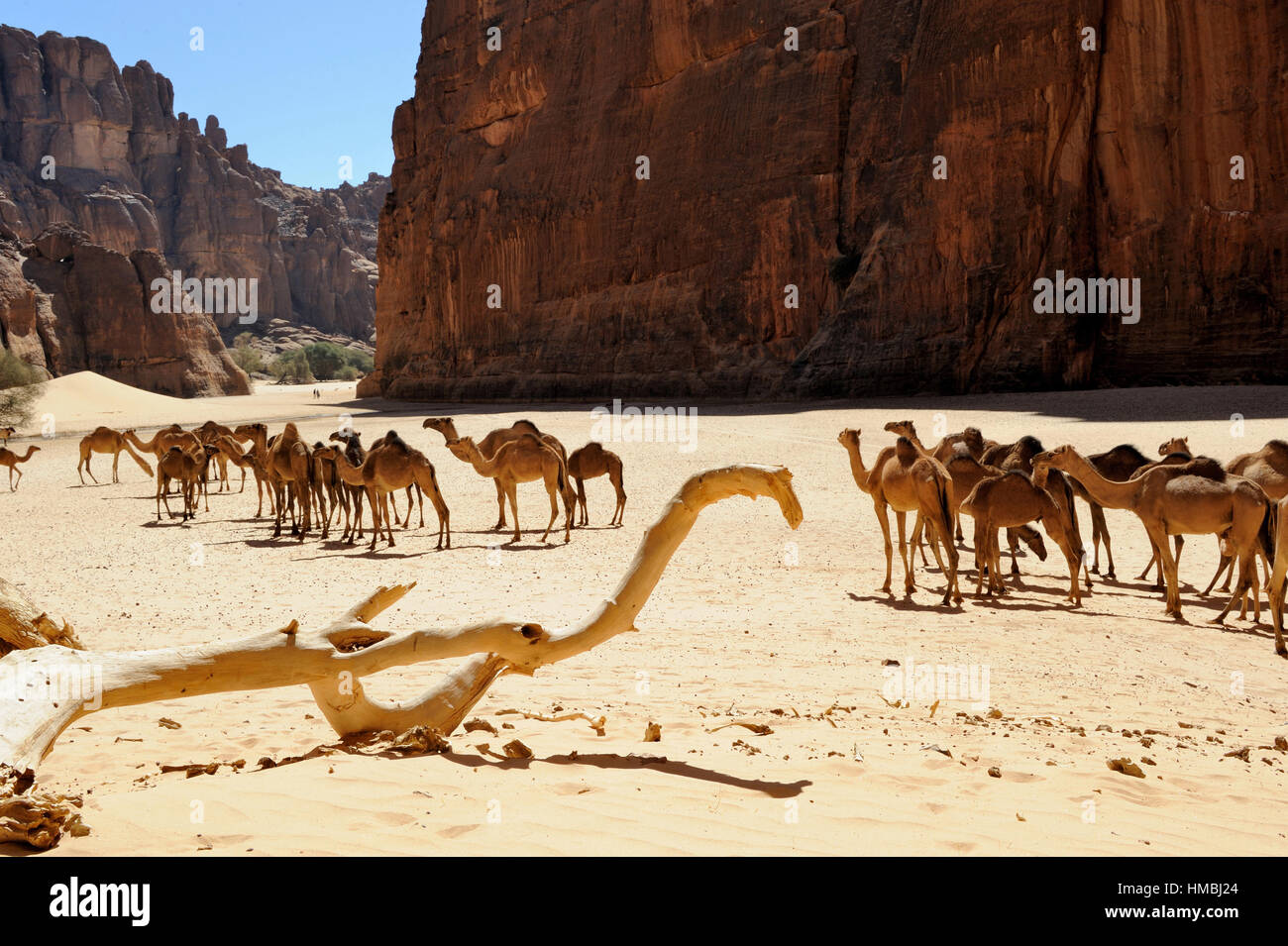 Chad: the Ennedi Plateau Stock Photo - Alamy