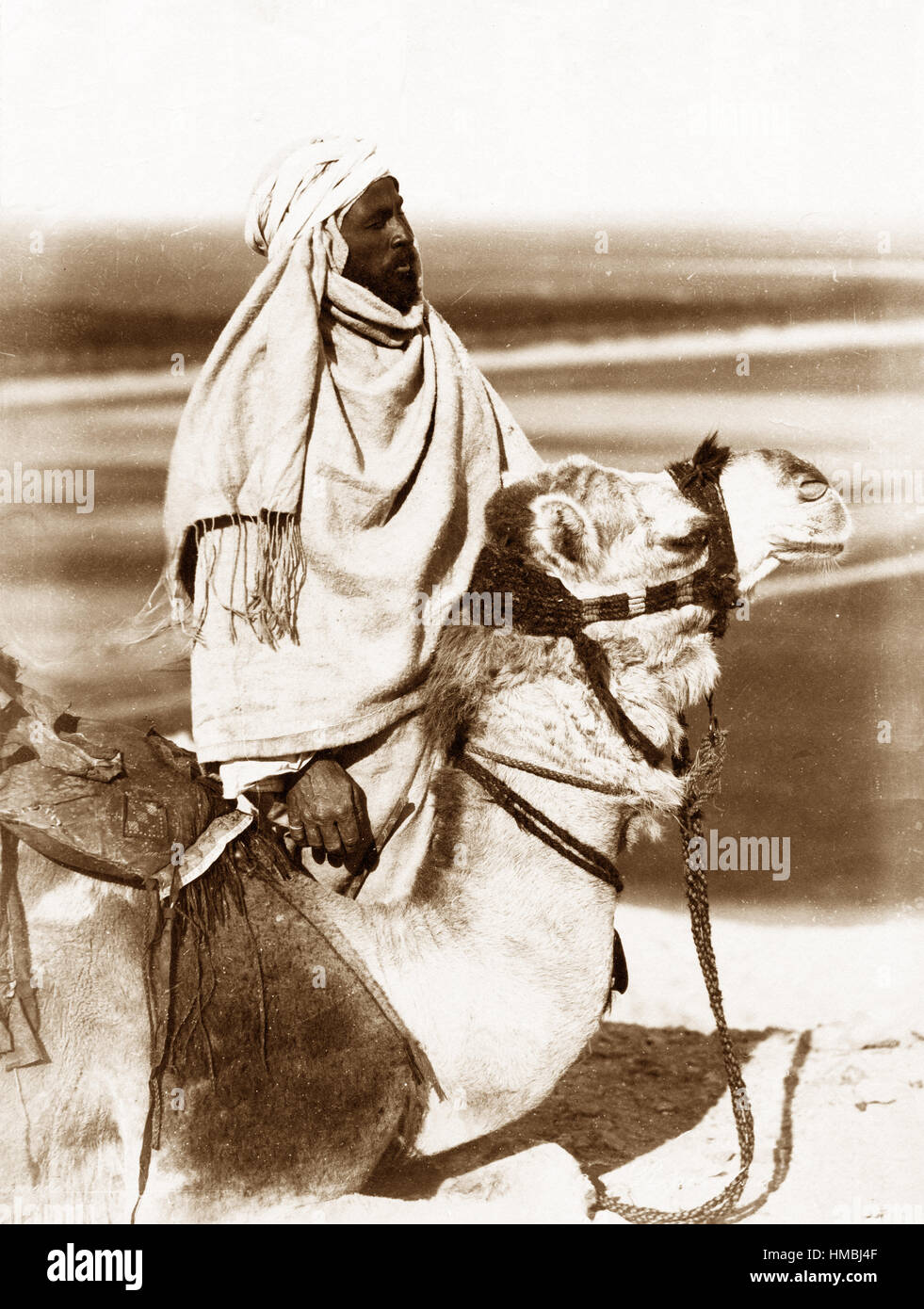 Vingate Photo Arab riding a camel , Egypt c1880 Stock Photo - Alamy