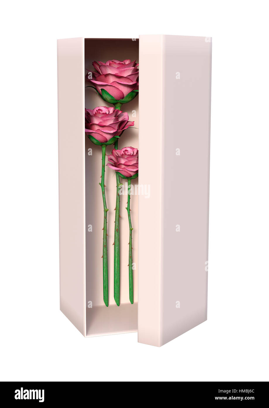 3D rendering of pink roses in a box isolated on white background Stock ...