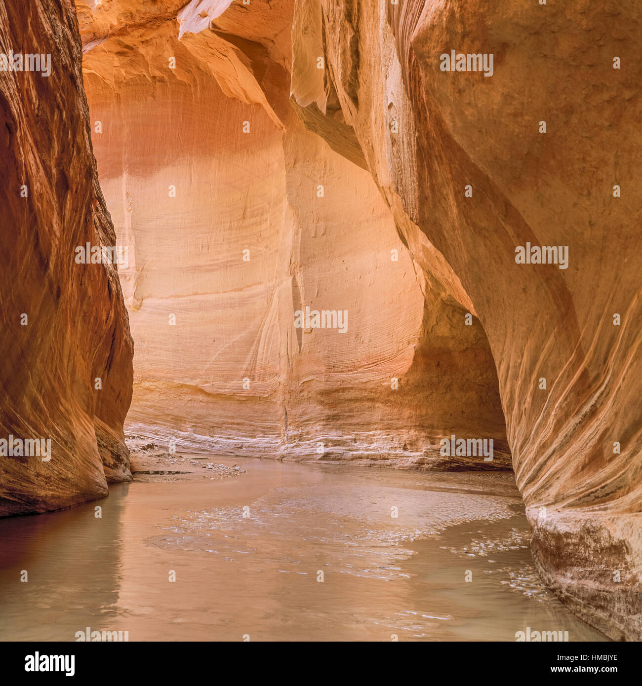 paria river in the narrows section of the paria canyon-vermillion ...