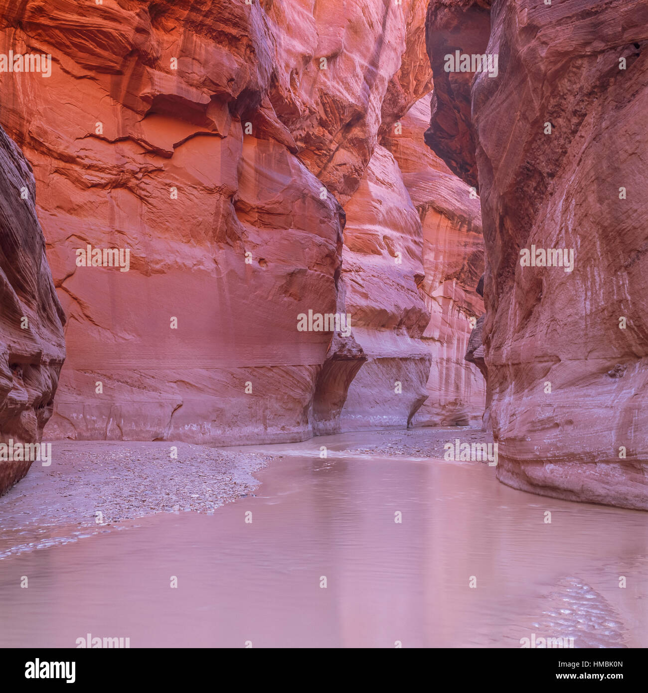 paria river in the narrows section of the paria canyon-vermillion ...