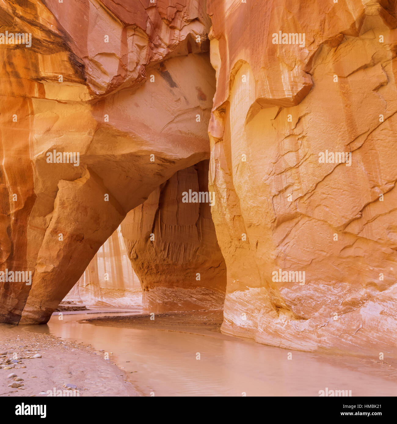 paria river flowiing under slide rock in the narrows section of the ...