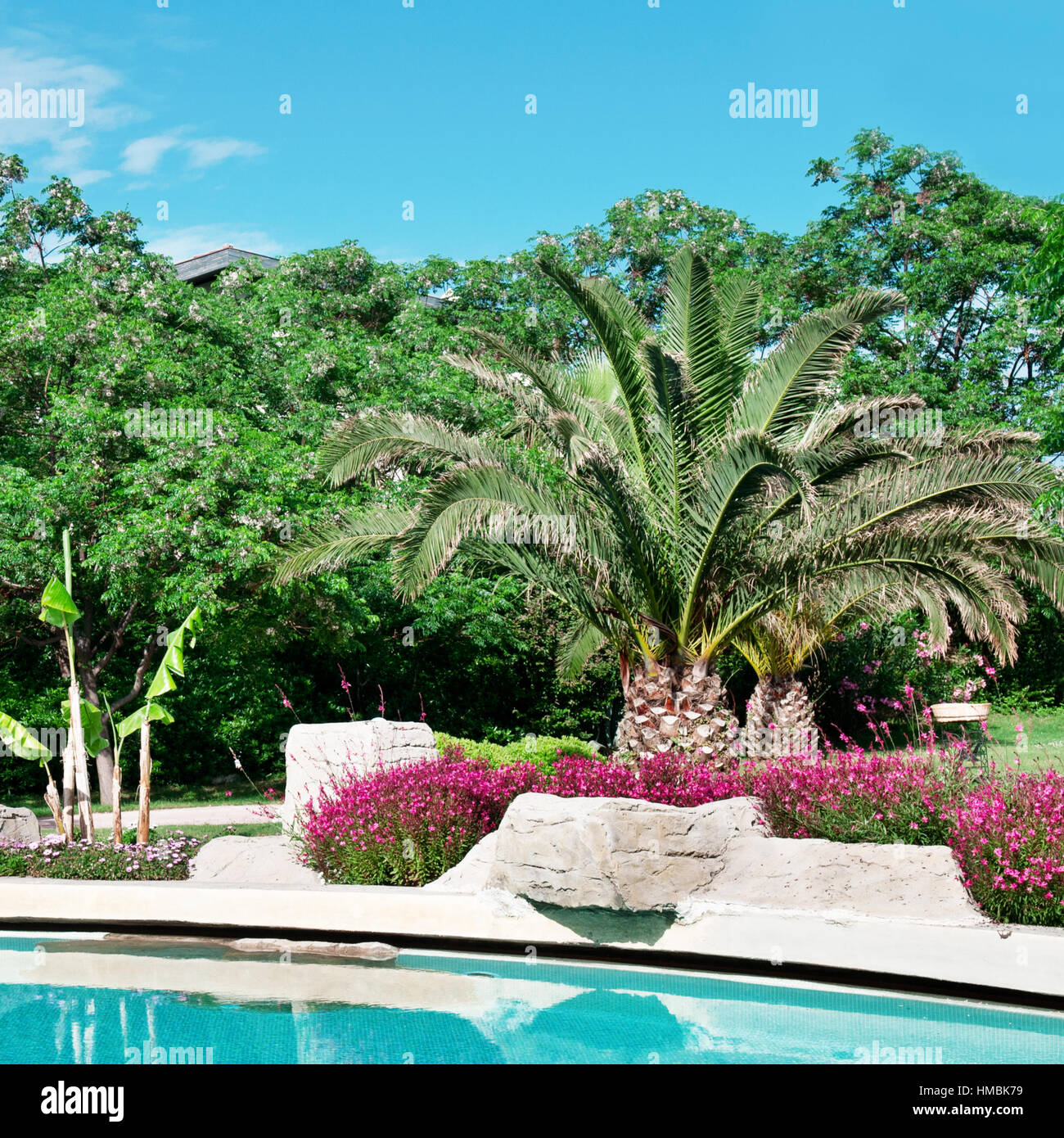 palm trees and flowers around the outdoor pool Stock Photo - Alamy