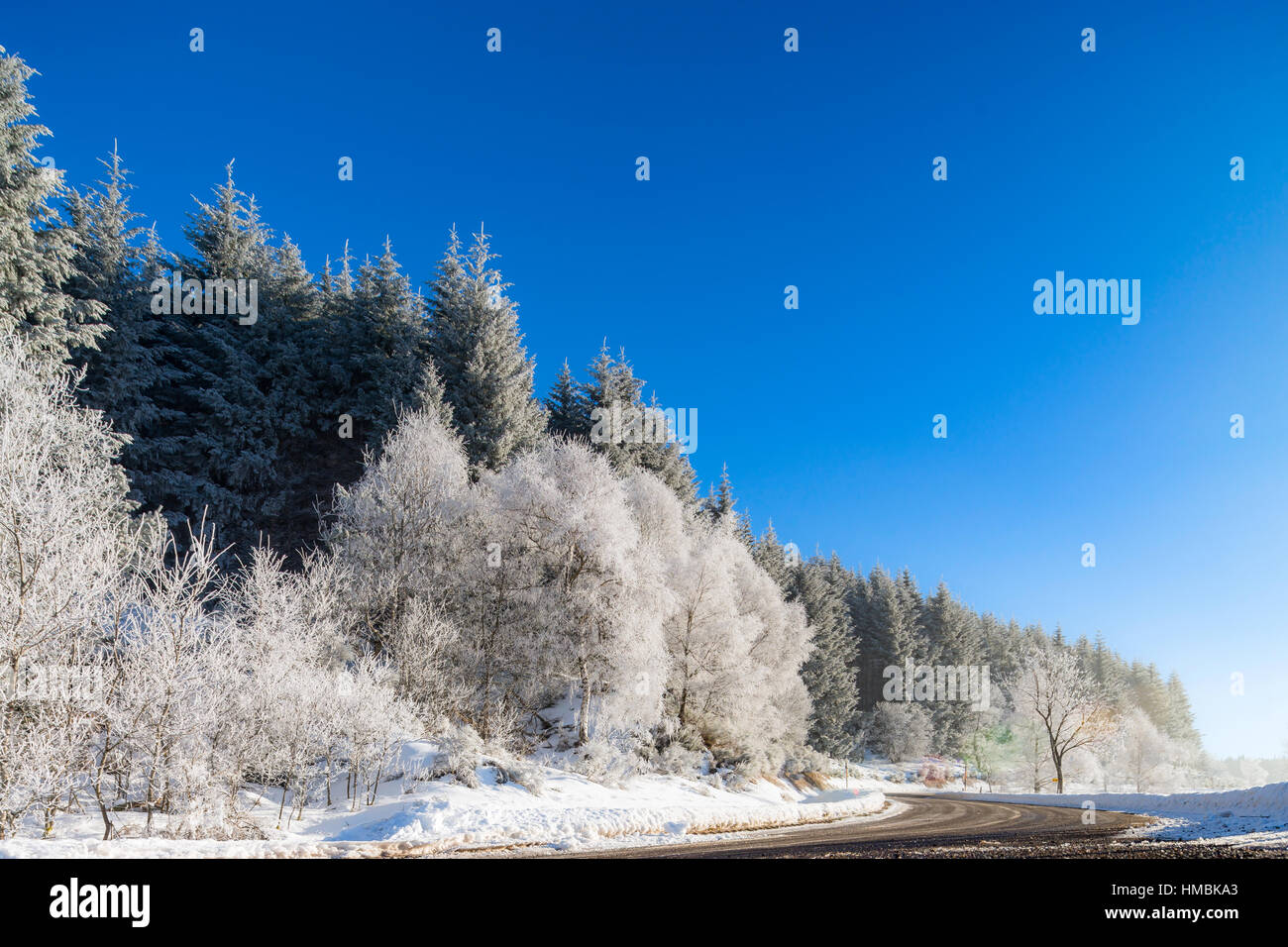 Beautiful white frozen trees on blue sky background. Picturesque and ...
