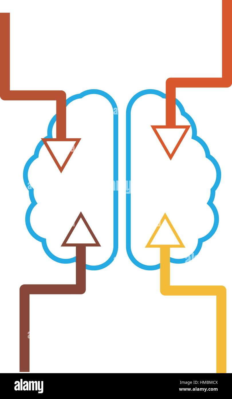 infographics represent the brain symbol with four arrows shows ...