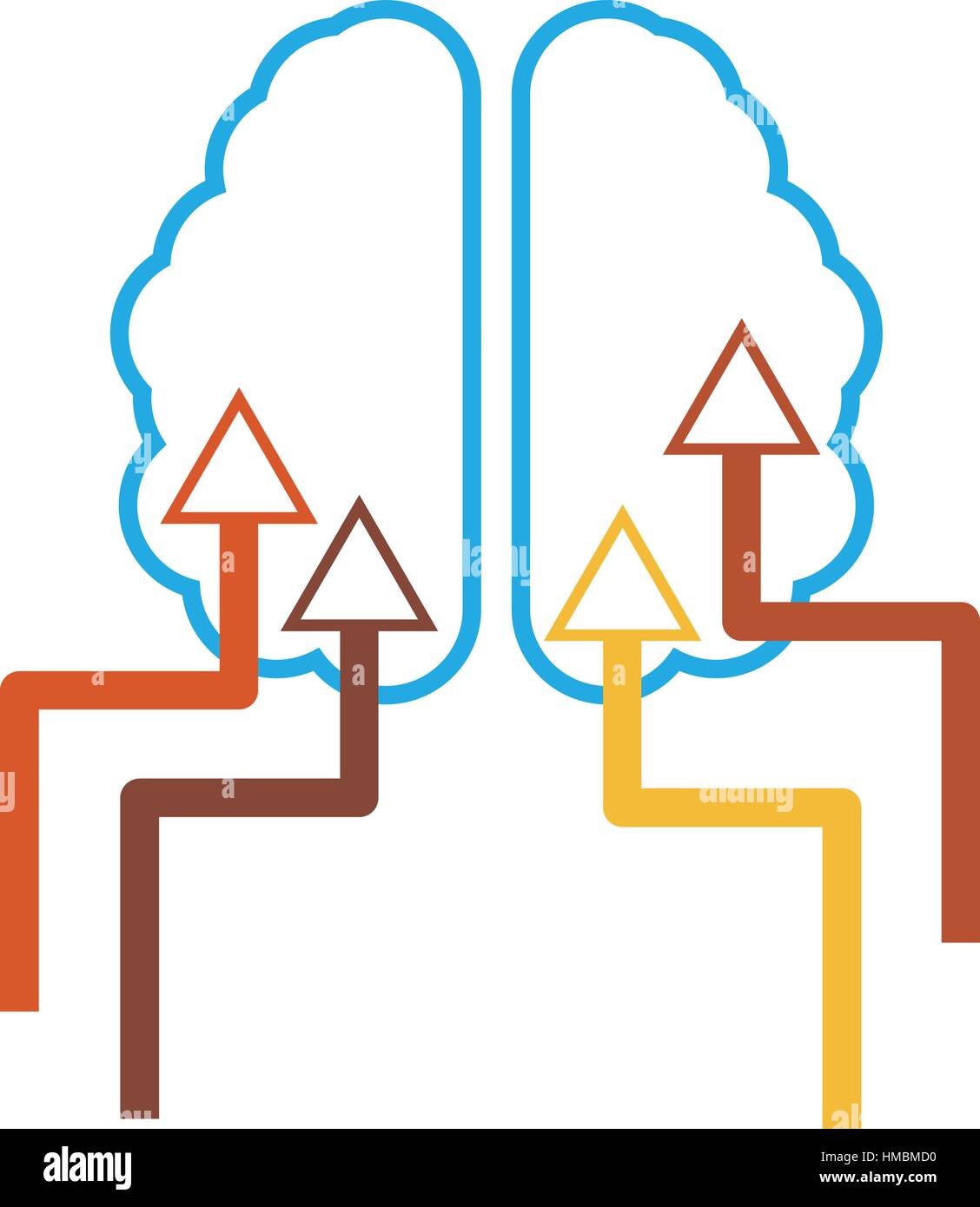 infographics represent the brain symbol with four arrows shows ...