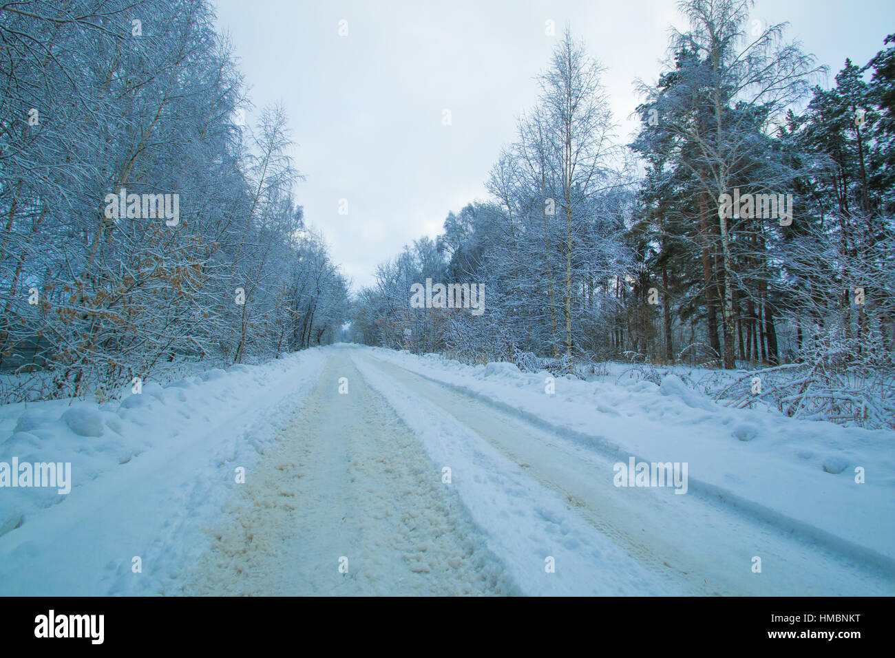 winter road in the forest twilight snow track Stock Photo - Alamy