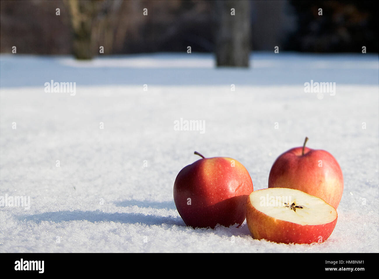 Winter cut hi-res stock photography and images - Alamy