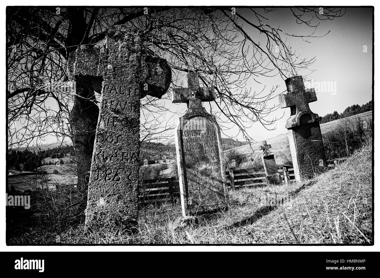 Cemetery in field Stock Photo - Alamy