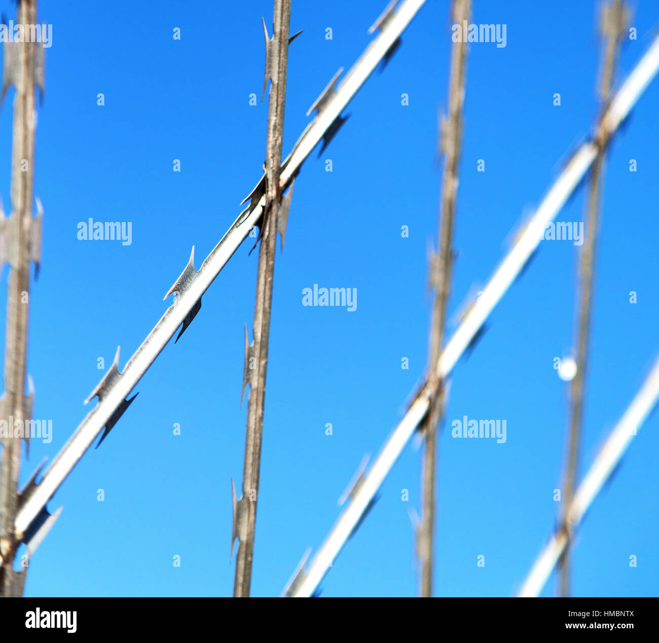 abstract razor wire in the clear sky like background texture Stock ...