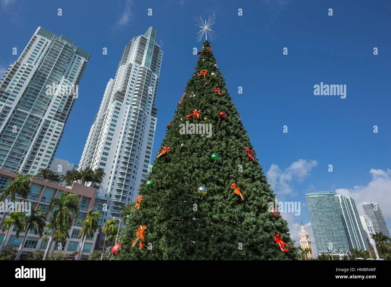 CHRISTMAS TREE BAYFRONT PARK DOWNTOWN SKYLINE MIAMI FLORIDA USA Stock ...